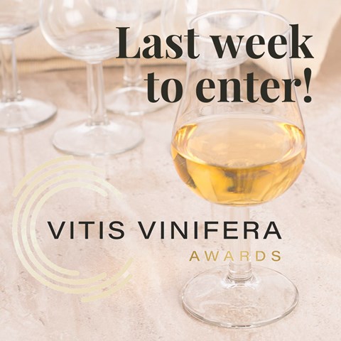Enter your finest creations at the 2023 Vitis Vinifera Awards! | wine.co.za