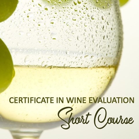 Certificate in Wine Evaluation Short Course | wine.co.za