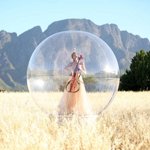 End of Summer Picnic with Carol Thorns at Mont Rochelle | wine.co.za