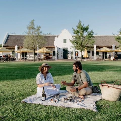 Romantic Sunset Picnic at Spier | wine.co.za