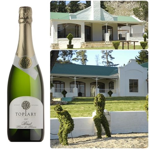 Niche MCC market for wine tourism | wine.co.za