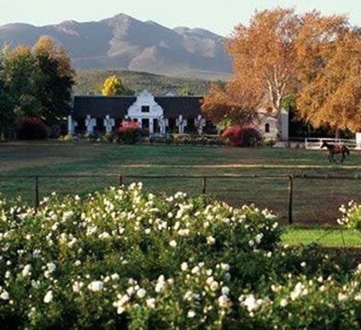 Zandvliet owners Paul and Dan de Wet take bold new step | wine.co.za