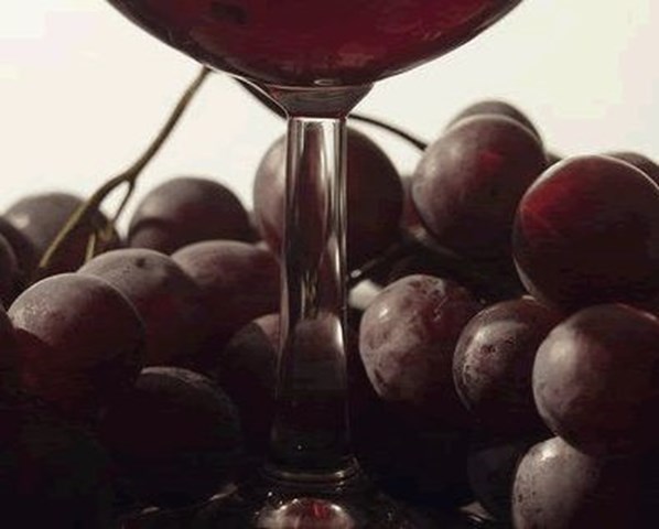 On genetic diversity, globalisation and great grape pips | wine.co.za