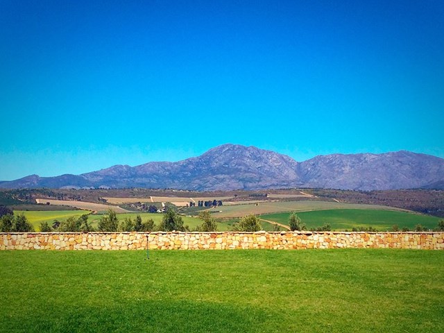 Botrivier: The hidden gem | wine.co.za