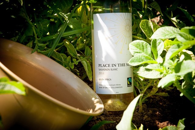 Place in the Sun Wines: Taste the Optimism | wine.co.za