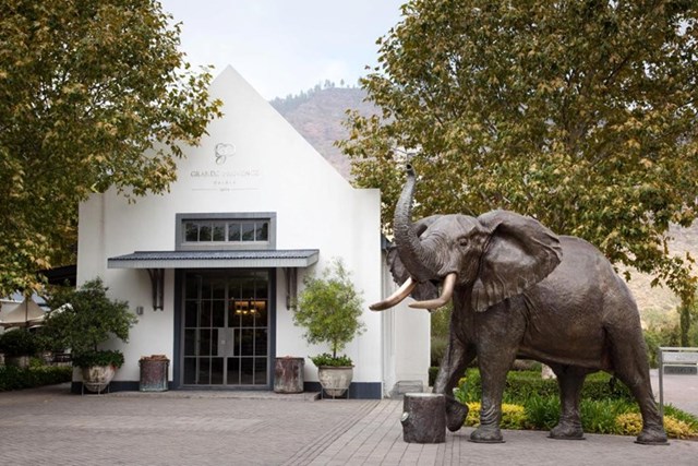Toby Megaw bronze sculpture showcase at Grande Provence | wine.co.za
