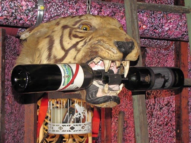 The Willy Wonka of Wine Tourism | wine.co.za