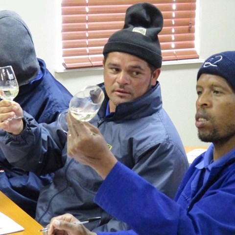 Winetech 2018 Study Groups and Workshops for Senior Cellar Assistants ...