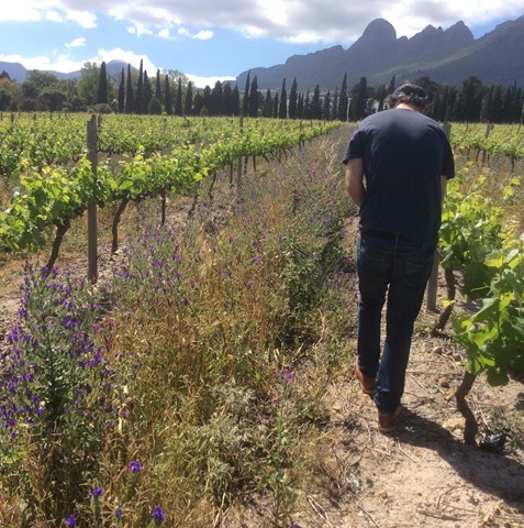 The ‘other’ winelands Golden Triangle | wine.co.za