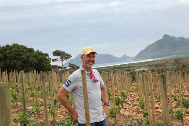 Imhoff Farm plants Kommetjie's first vineyards | wine.co.za
