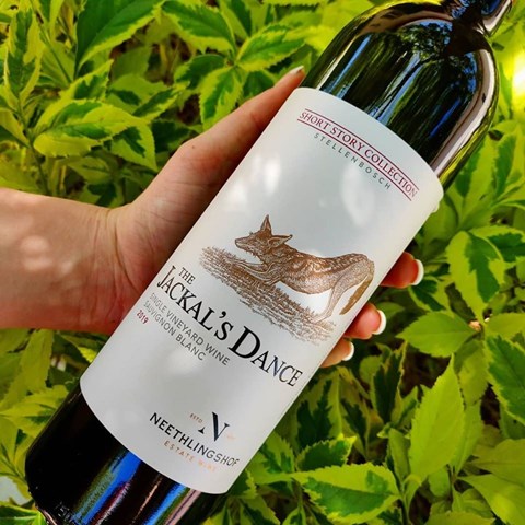 The year of vegan-friendly wine | wine.co.za