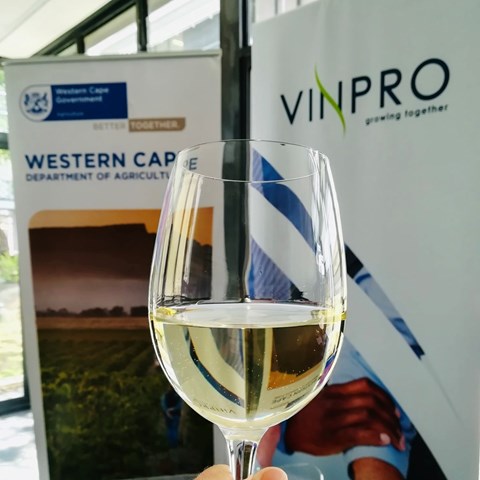 Vinpro Extremely Disappointed in High Court Ruling | wine.co.za