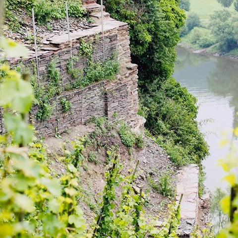 Understanding slate soils in wine | wine.co.za