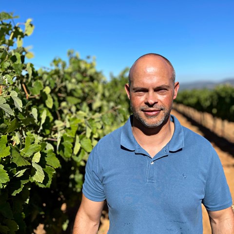 A look into the February harvest with Flagstone Wines' Winemaker ...