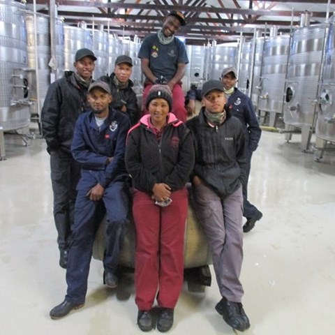 Winetech Cellar Assistants' Programmes - Why evaluate? | wine.co.za