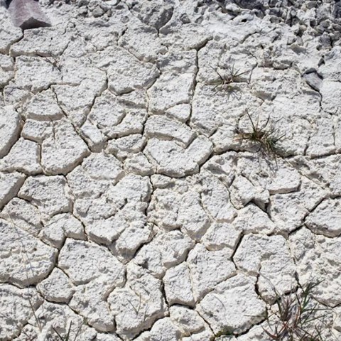 Understanding limestone soils in wine | wine.co.za