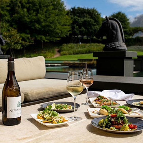 Steenberg Vineyards: 8 Reasons to escape to this iconic destination ...
