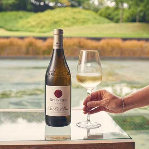 Discover Steenberg Sauvignon Blancs on a curated secret tasting | wine ...
