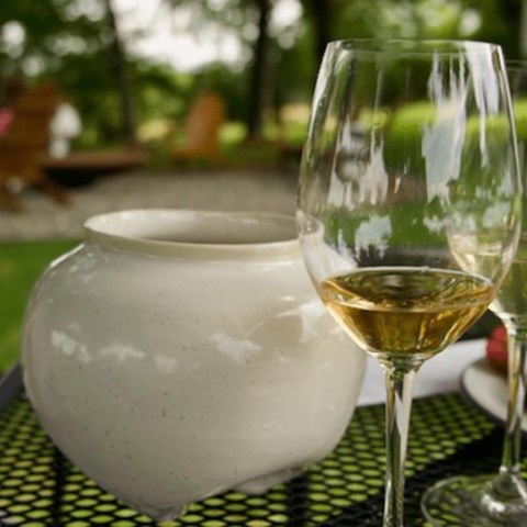 How I learned to stop worrying and love spitting wine | wine.co.za