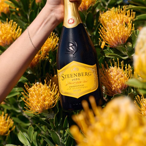 Steenberg toasts to Cap Classique Day on 1 September | wine.co.za