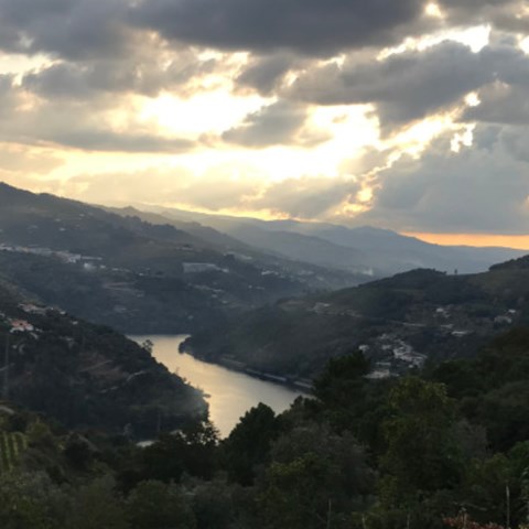 Inflation is afflicting the wine world, too - here are 3 regions still ...