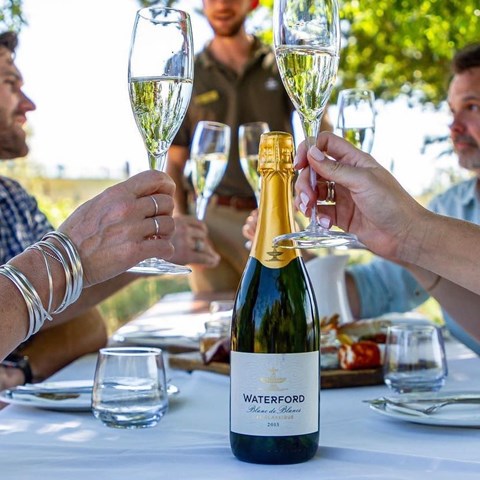 Survival guide to the festive season - wine edition | wine.co.za