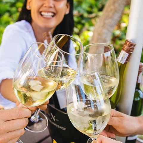 Fall in love with Neethlingshof | wine.co.za