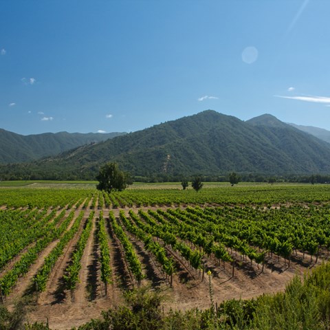 Loss of a historic wine farm | wine.co.za