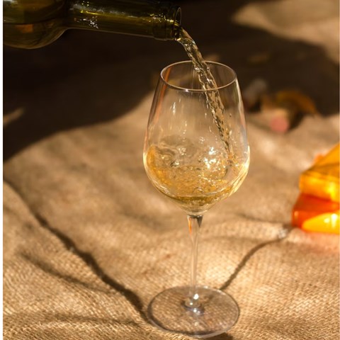 Bruce Jack wine of the week: Bonfire Hill White | wine.co.za