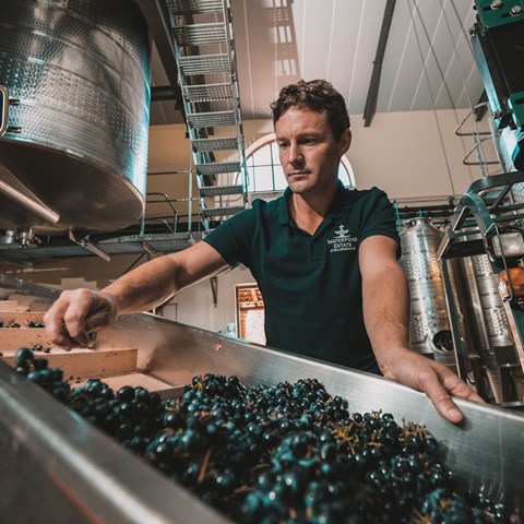 The man behind the wine at Waterford: Let's meet Mark le Roux I # ...