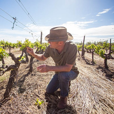 Conservation minded Grier family are front runners on many levels ...