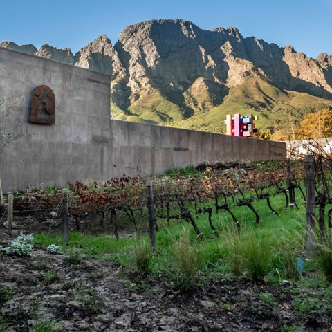 New Generation Wines’ platform for the best of South Africa | wine.co.za
