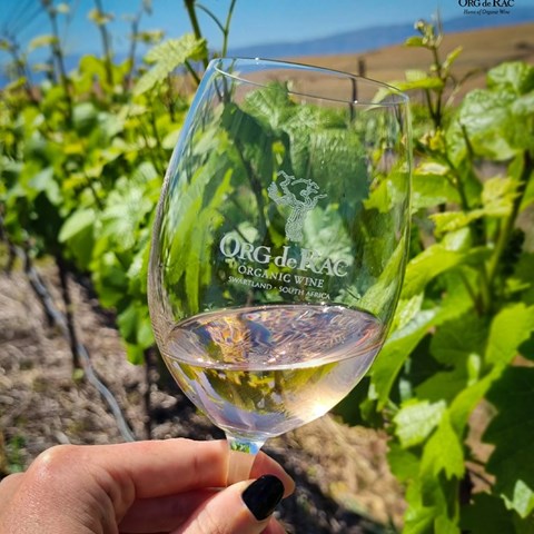 Swartland's Org de Rac sees growth in organic | wine.co.za
