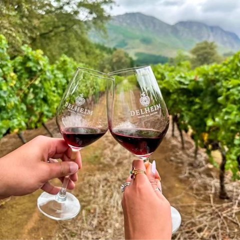 Spice up your life with Delheim | wine.co.za
