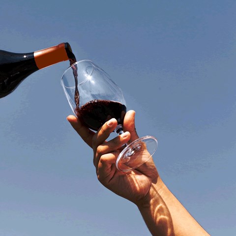 Celebrate International Red Wine Day with Survivor Wines | wine.co.za