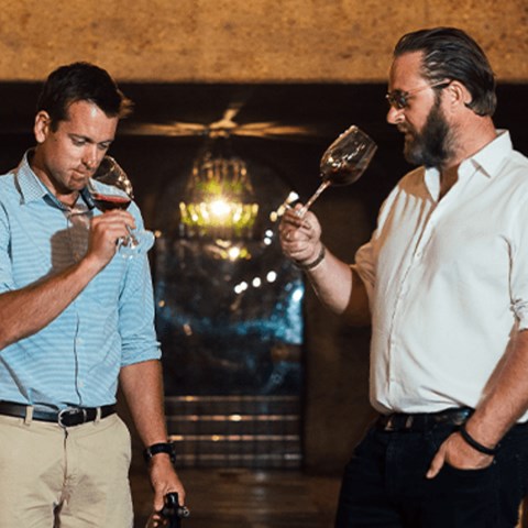 Breaking news! Our wines hit the jackpot | wine.co.za