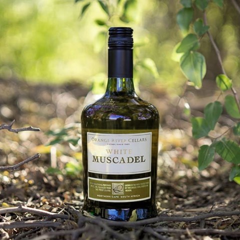 Unearthing the world of Orange River Cellars' fortified wines | wine.co.za