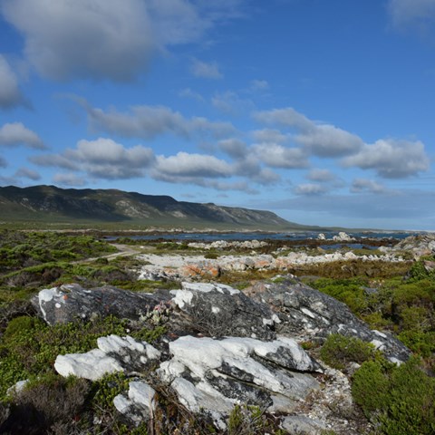 Agulhas Wine Triangle at risk from prospecting application | wine.co.za