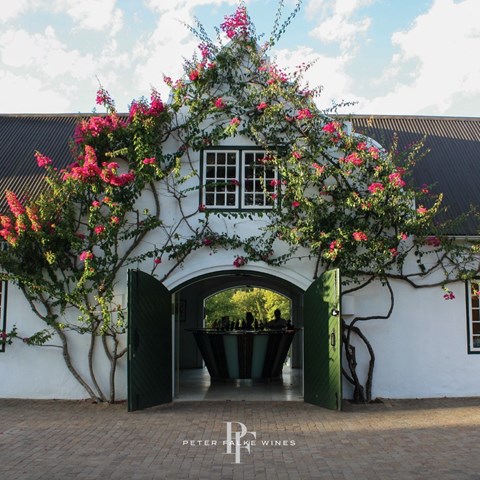 Reignite your senses at Peter Falke Wines | wine.co.za