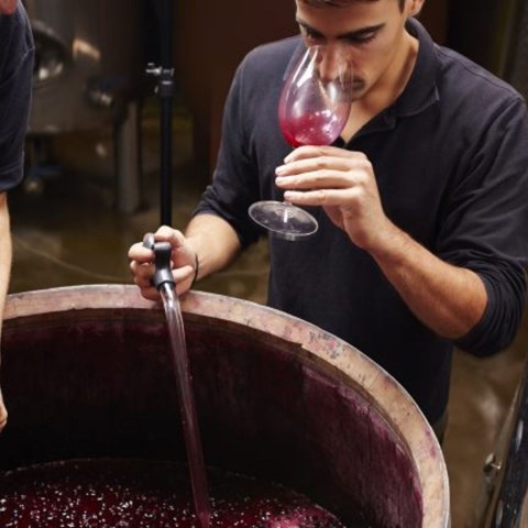 The science behind reductive aromas in wine | wine.co.za