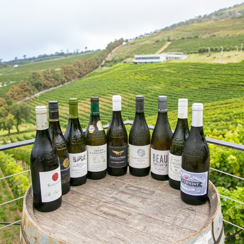 A whimsical top ten wine tastings of 2023 | wine.co.za