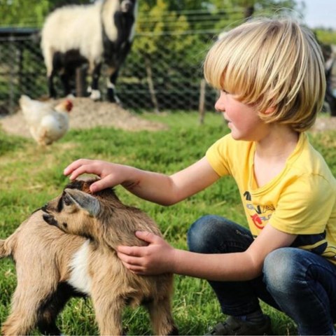 Vredenheim Animal Farm – wildlife and winery | wine.co.za