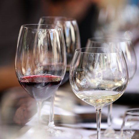 Out and About with wine.co.za: Launches, wine farm visits and road ...