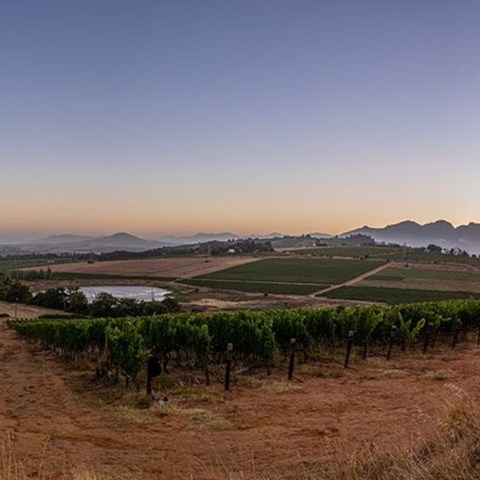 Hartenberg Wine Estate honoured with Conservation Pioneer Award at Best ...