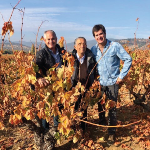 Unearth Longaví wines: Chilean gems from the Maule Valley | wine.co.za
