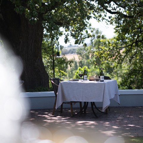 5 reasons to visit Hartenberg Wine Estate this year | wine.co.za