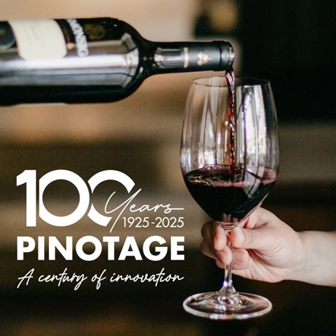 Pinotage 100: Celebrating a century of South Africa’s heritage | wine.co.za