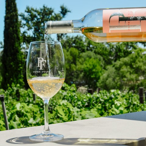 Springtime sips with Peter Falke Wines | wine.co.za
