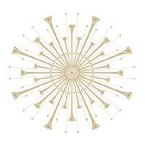 The Brand Background | wine.co.za