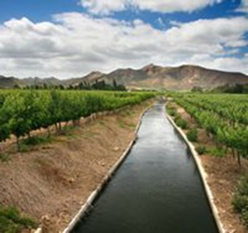 DAY 1 - GOUDMYN WALK: | wine.co.za